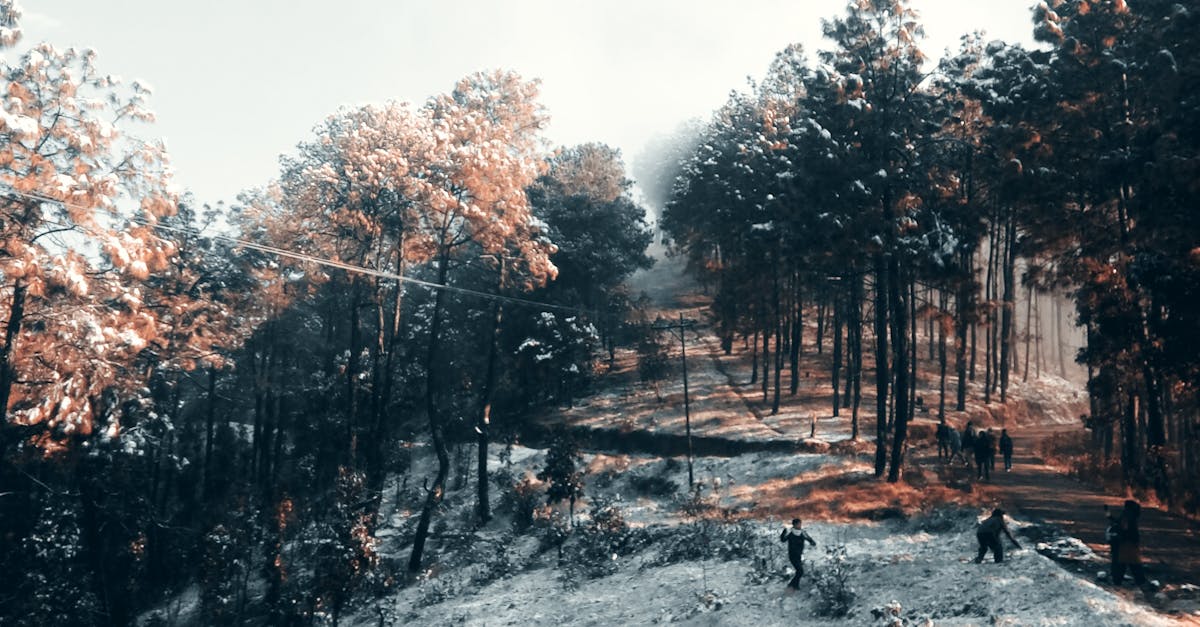 Top Family-Friendly Trails in Fife and Kinross - SWT Fife